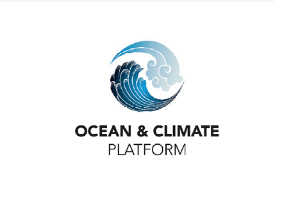 Informe: Coastal and marine ecosystems as Nature-based Solutions in new or updated Nationally ...
